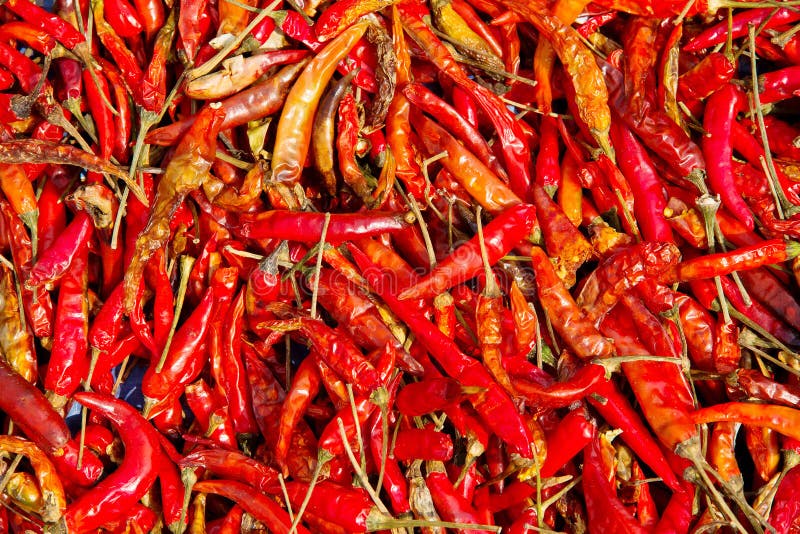 Dried Red Chilli Background Stock Image - Image of stall, cooking: 51822657