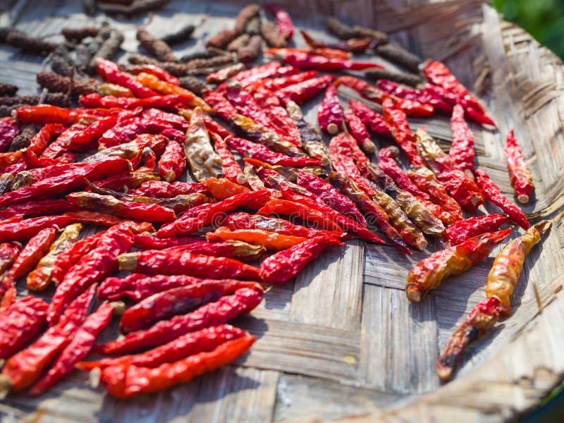 Dried Red Chilli on Bamboo Tray Stock Image - Image of color, chilly ...