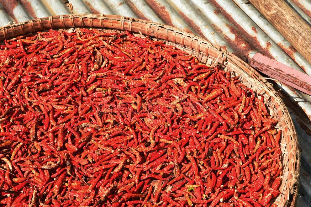 Dried Red Chilli in Bamboo Tray Stock Photo - Image of agriculture ...