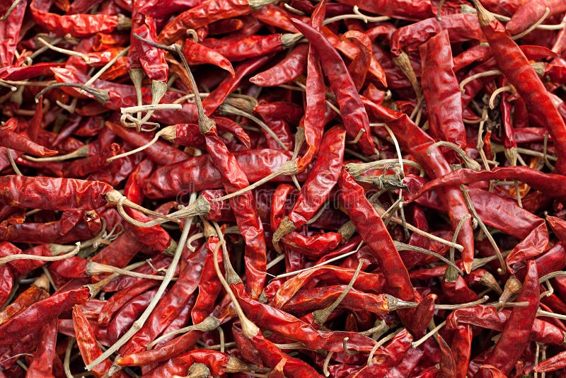 Dried red chilli stock image. Image of cooking, cook - 33321263