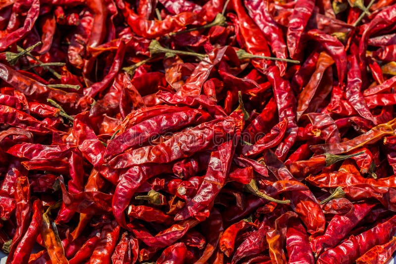 Dried red chilli stock image. Image of dried, chili, food - 67601261