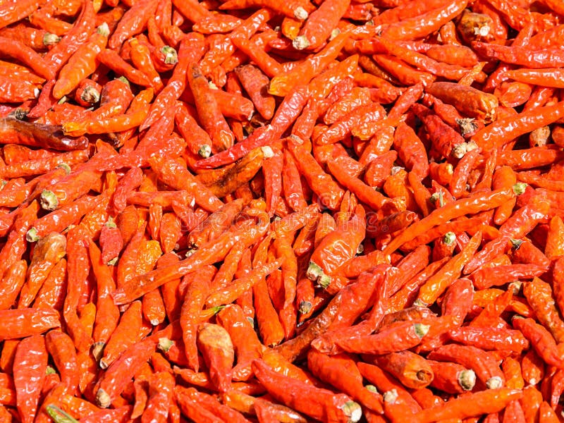 Dried red chilli stock photo. Image of flavor, food, healthy - 36269708