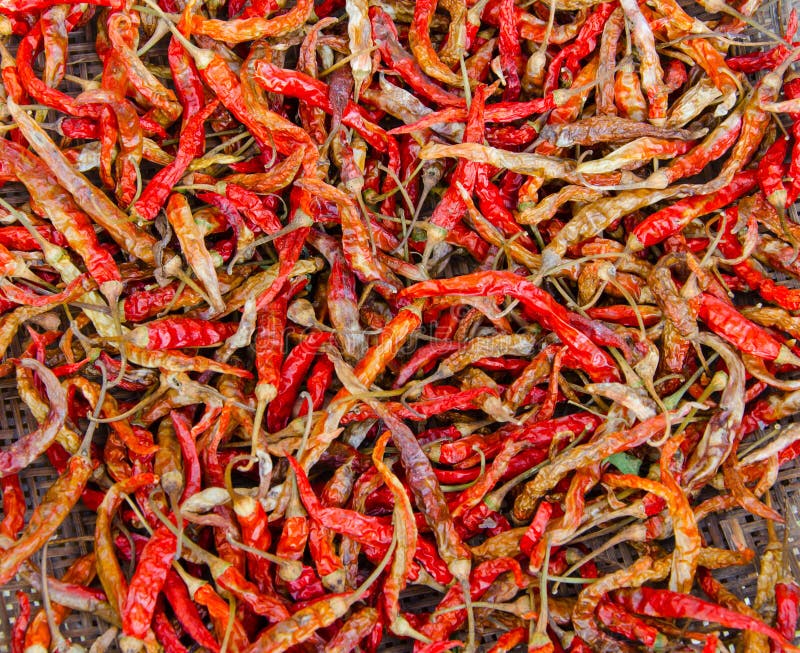 Dried Red Chilli, Food Ingredient Stock Photo - Image of chilli ...