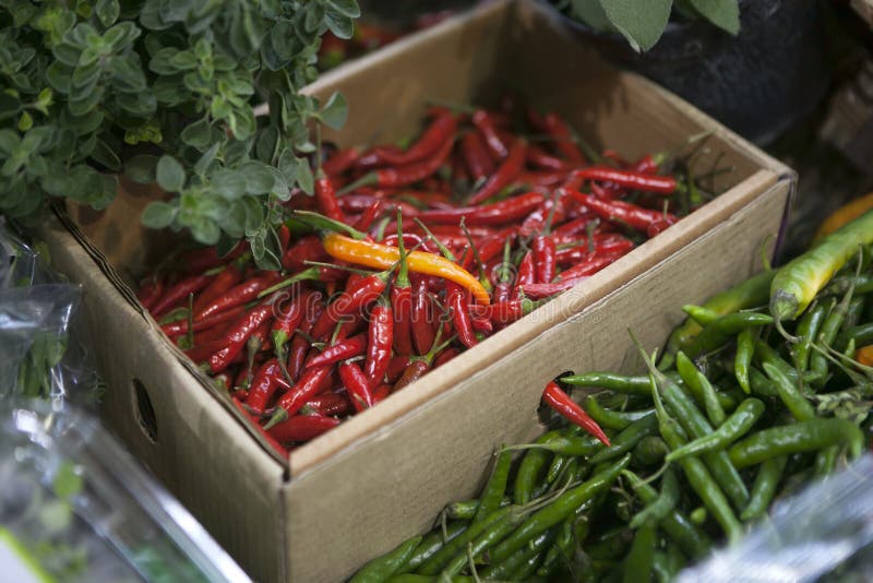 Dried Red Chilli PEPPER in Box Stock Photo - Image of asian, ingredient ...
