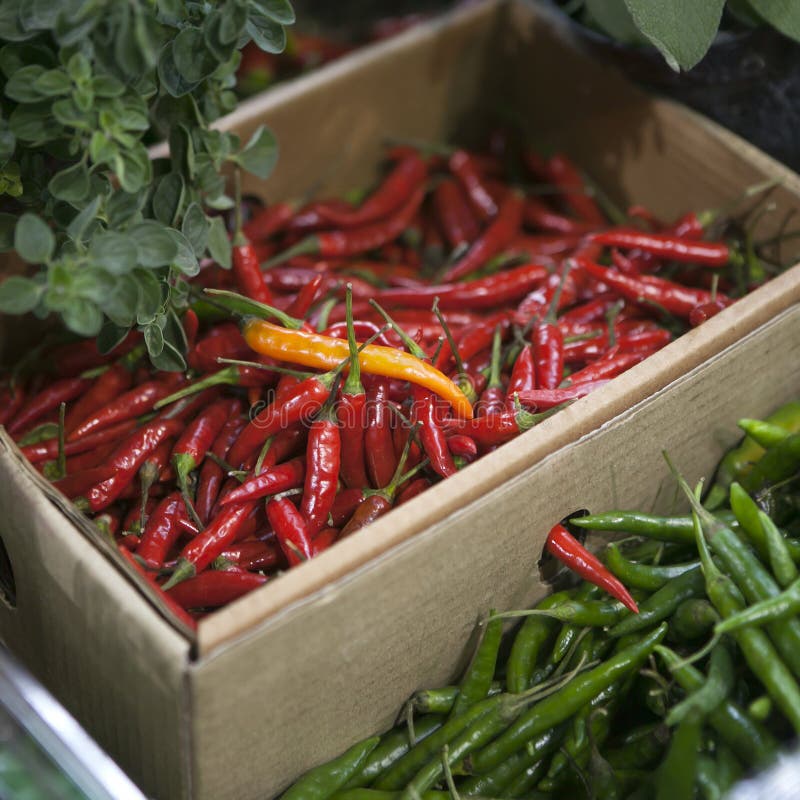 Dried Red Chilli PEPPER in Box Stock Photo - Image of chef, closeup ...