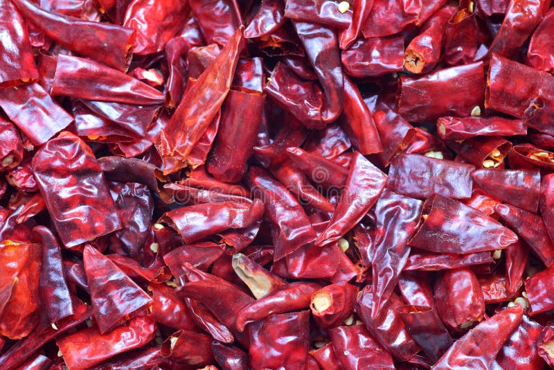 Dried red chilly stock photo. Image of chili, hottest - 21691748