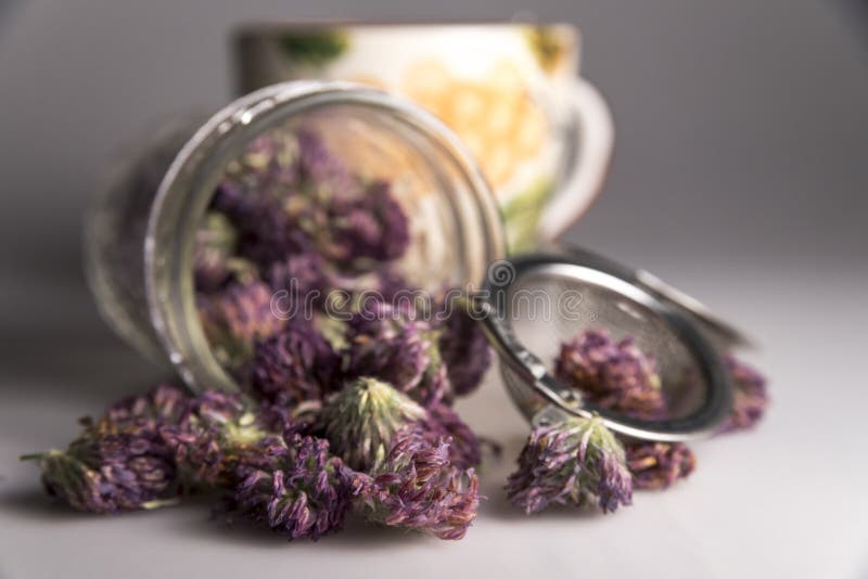 Red Clover in a Jar Sitting in Front of a Tea Cup Stock Image - Image ...