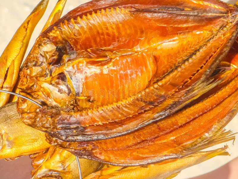 Dried salmon in Norway stock photo. Image of detail, blue - 83876702