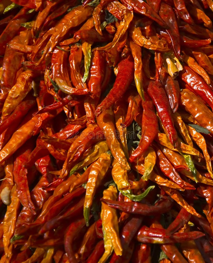 Dried Red Hot Chilly Pepper Stock Photo - Image of pepper, chile: 17257880