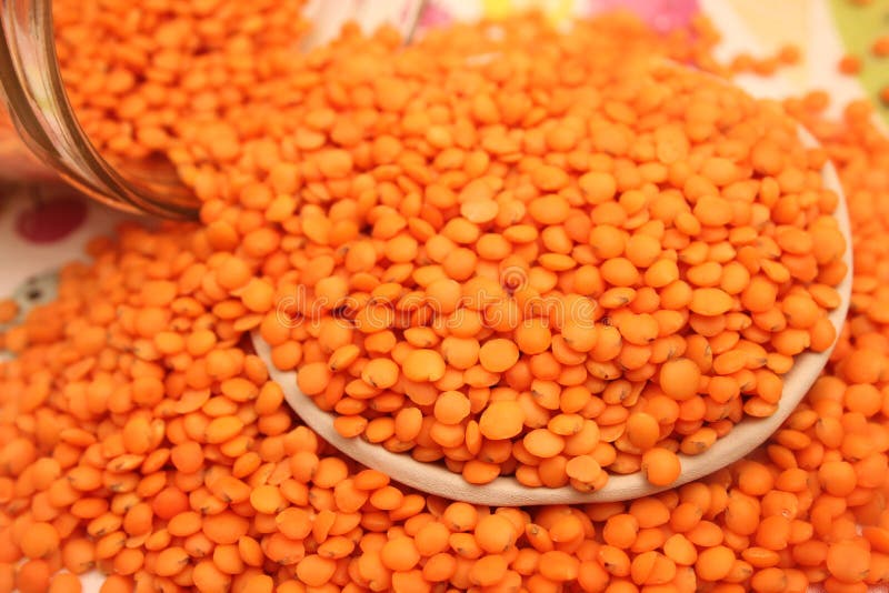 Dried red lentils stock photo. Image of prepping, lentils - 244023844