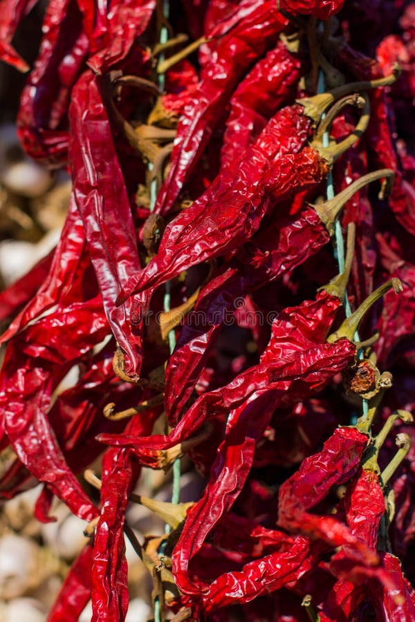 Dried Red Papper stock image. Image of agriculture, spicy - 50621021