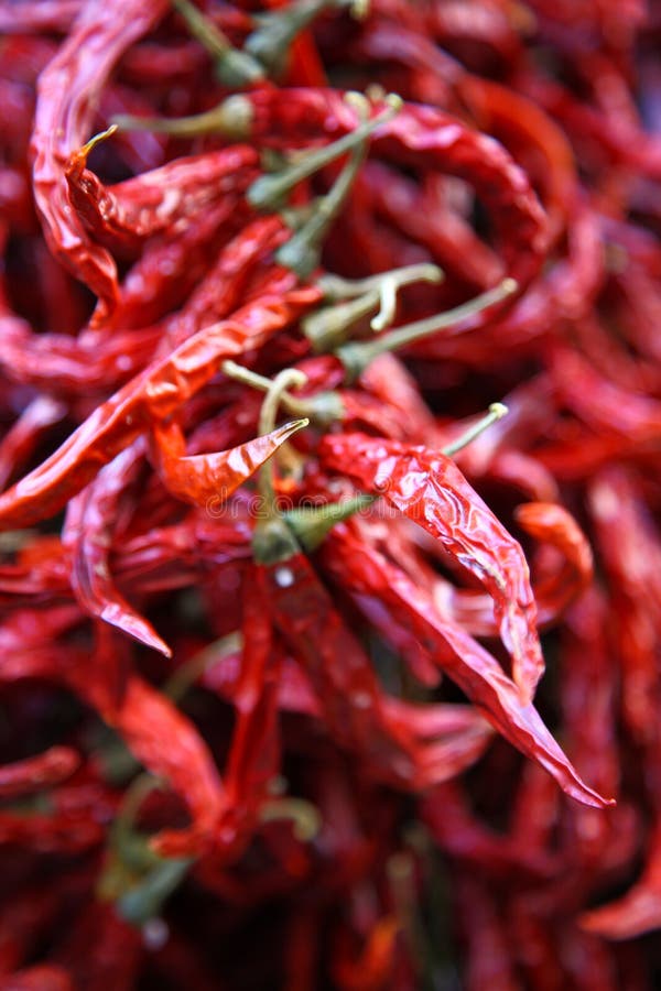 Dried red pepper stock photo. Image of spice, spicy, macro - 44690564