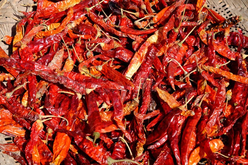 Dried red pepper stock image. Image of bitter, dried - 62795813