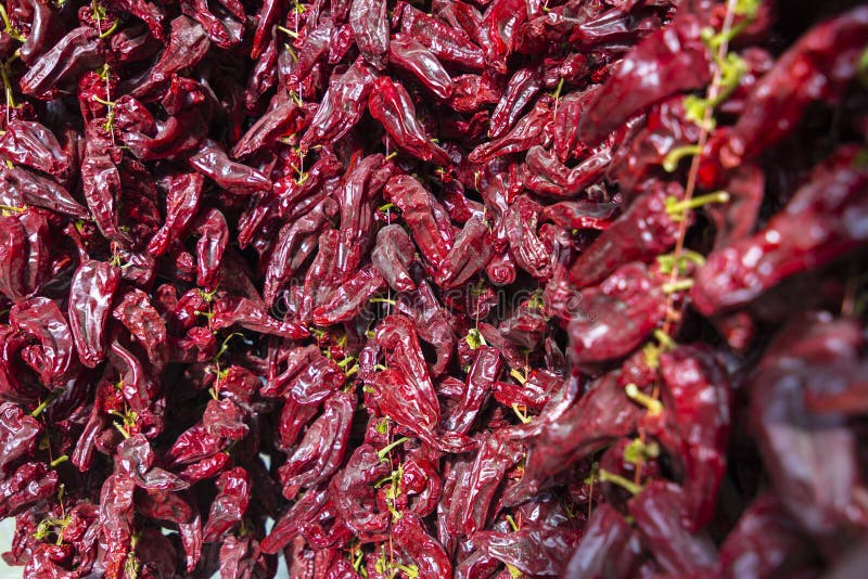 Dried red pepper string stock photo. Image of typical - 170201052