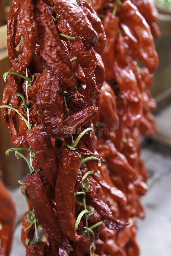 Dried red peppers stock photo. Image of chilli, chilies - 257577140