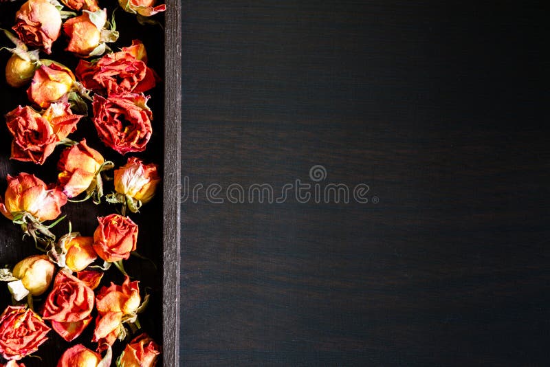 Dried red roses. stock photo. Image of blooming, botanical - 120732272