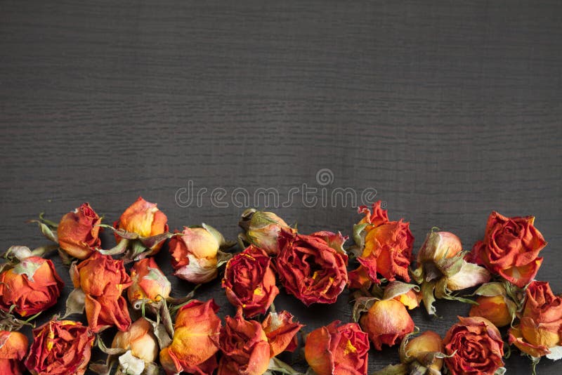 Dried red roses. stock photo. Image of bouquet, blooming - 126186464