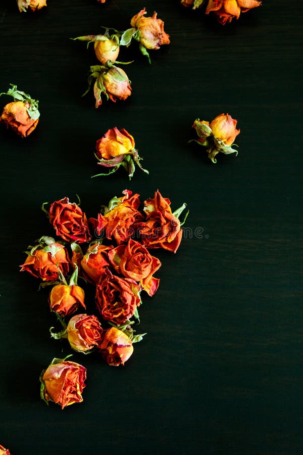 Dried red roses. stock photo. Image of design, closeup - 126185238