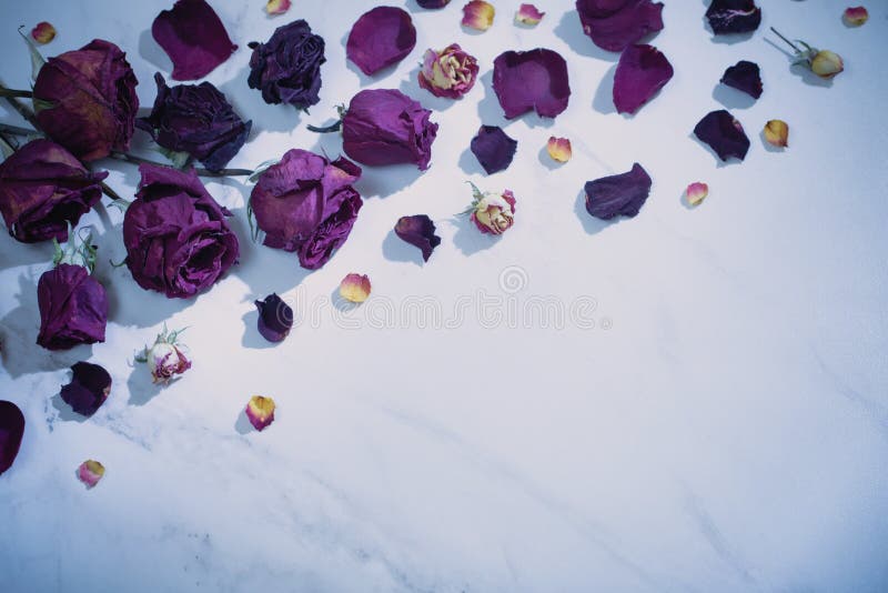 Dried Red Roses on Marble Background Stock Photo - Image of anniversary ...