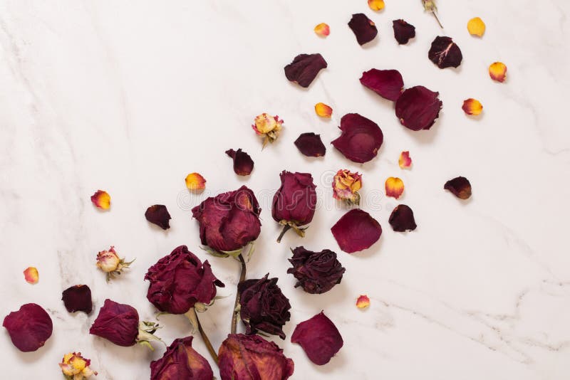 Dried Red Roses on Marble Background Stock Photo - Image of memory ...