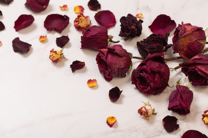 Dried Red Roses on Marble Background Stock Image - Image of floral ...