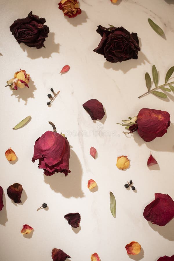 Dried Red Roses on Marble Background Stock Photo - Image of natural ...