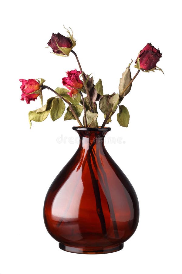 Withered Roses stock image. Image of pink, closeup, beautiful - 7890305