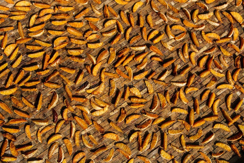 Dried ripe areca nut stock photo. Image of dried, pattern - 61629022