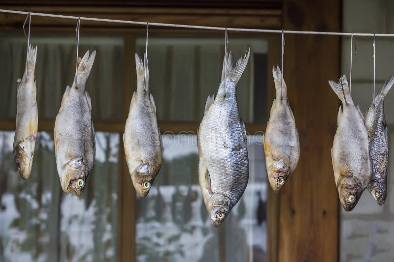 Dried River Fish Hanging on the Rope Stock Photo - Image of dried ...
