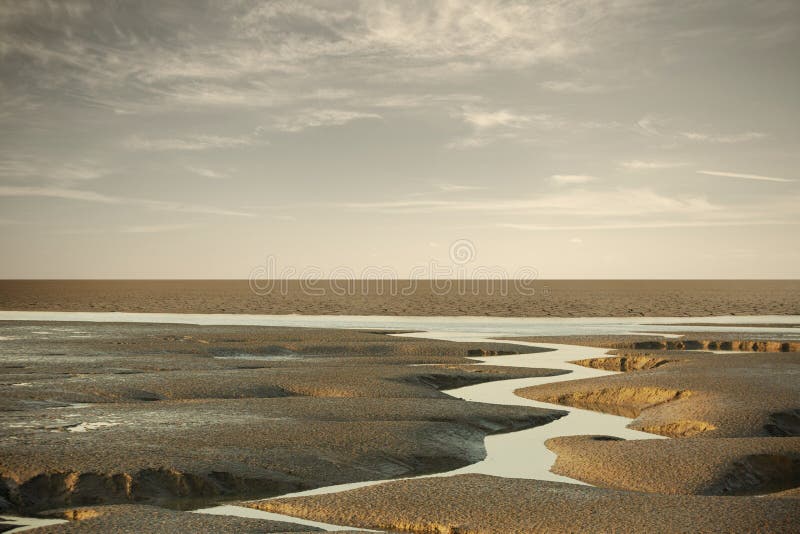 Dried River. the Problem of Drought Stock Photo - Image of warm, river ...
