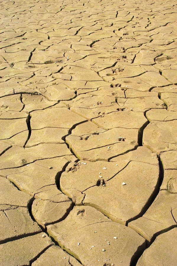 Dried Riverbed stock image. Image of brown, crevice, soil - 3155957