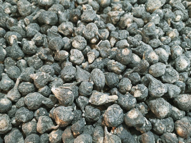 Dried Root Vegetables As a Background Stock Image - Image of walnut ...