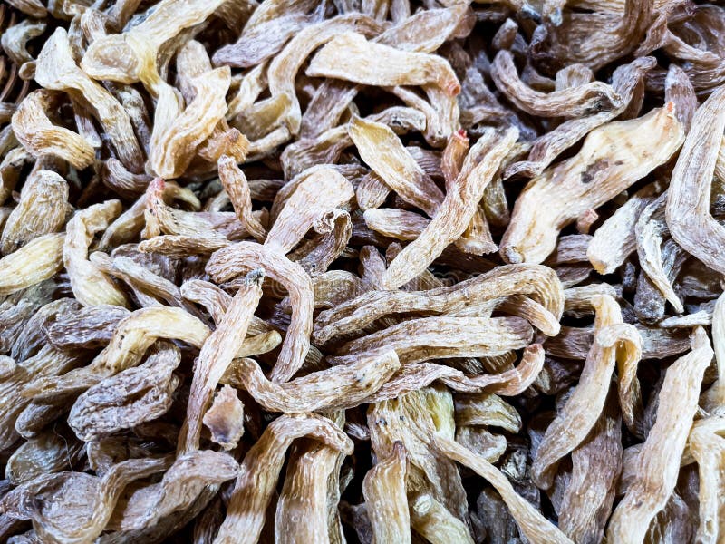 Dried Root Vegetables As a Background Stock Photo - Image of seafood ...