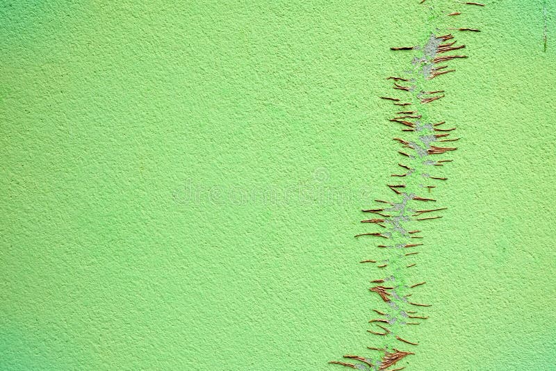 Dried Roots on Green Concrete Wall Background, Suitable for Wallpaper ...