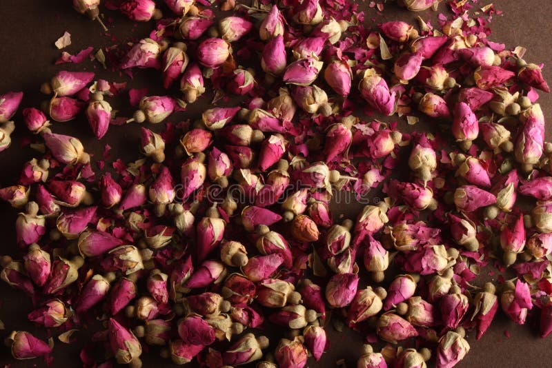 Dried rose buds stock image. Image of dried, isolated - 12229711