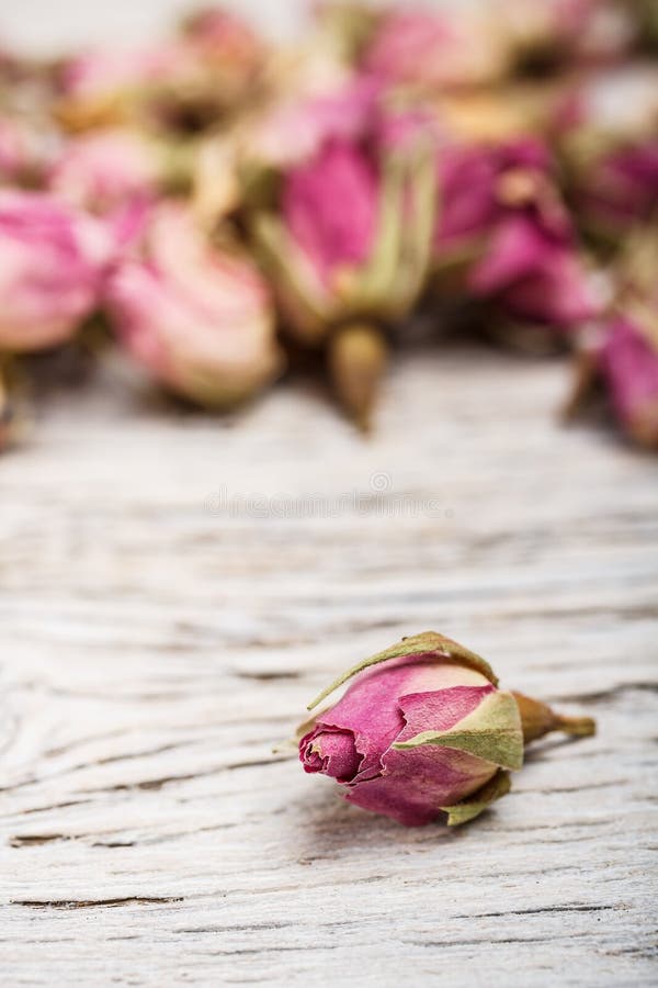 Dried rose buds stock image. Image of decoration, natural - 29230889