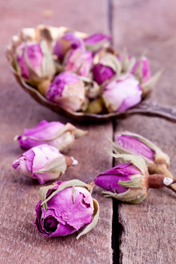 Dried rose buds stock photo. Image of colander, floral - 42522236