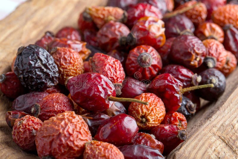 Dried rose hip berries stock photo. Image of closeup - 140099594