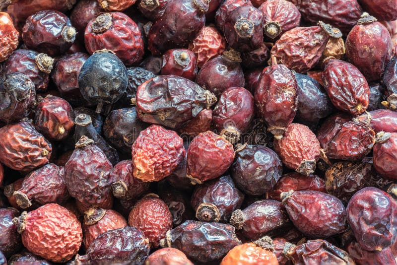 Dried rose hips stock image. Image of wood, medicine - 89510681