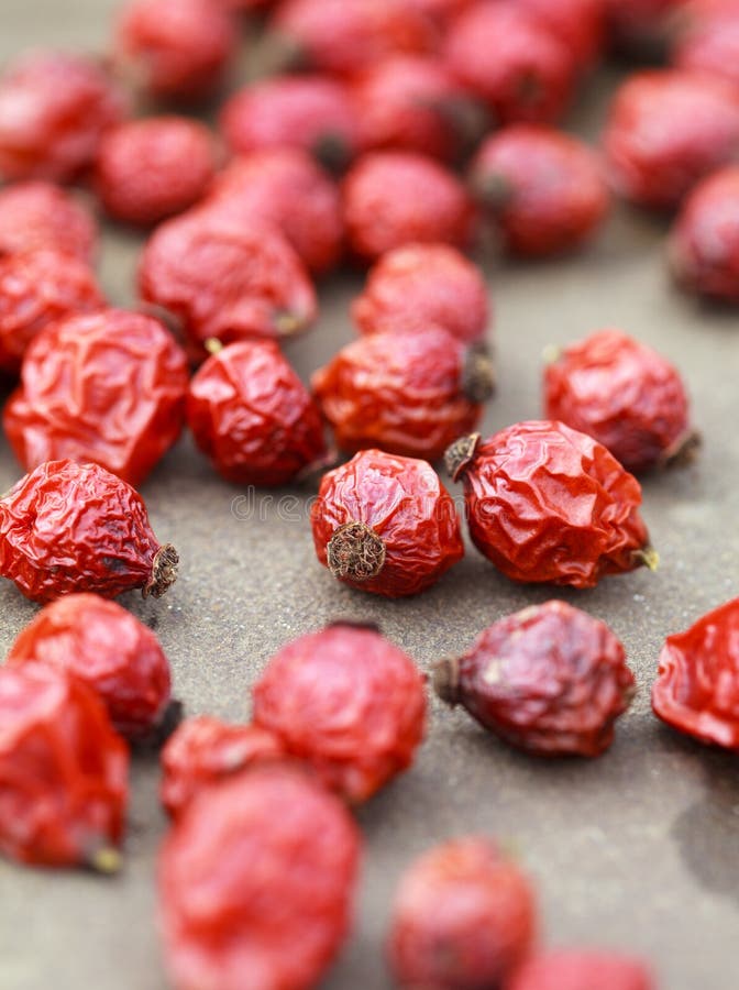 Dried Rose Hips on Table, Selective Focus, Some Berries in Focus Stock ...