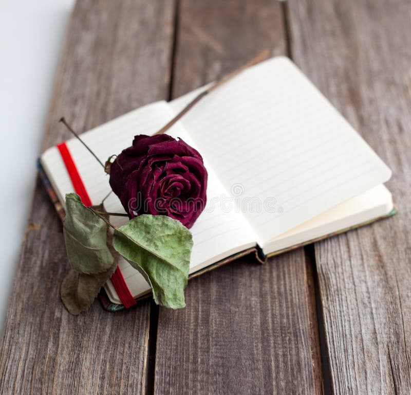 Dried Rose Laying Over an Open Book Stock Photo - Image of history ...