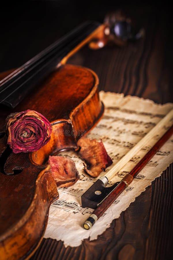 Old Violin And Dried Flowers On Rare Music Notes Closeup Stock Image ...