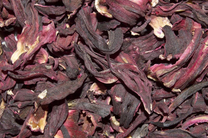Dried Rose Petals. Tea of Rose Petals Stock Photo - Image of fruit ...