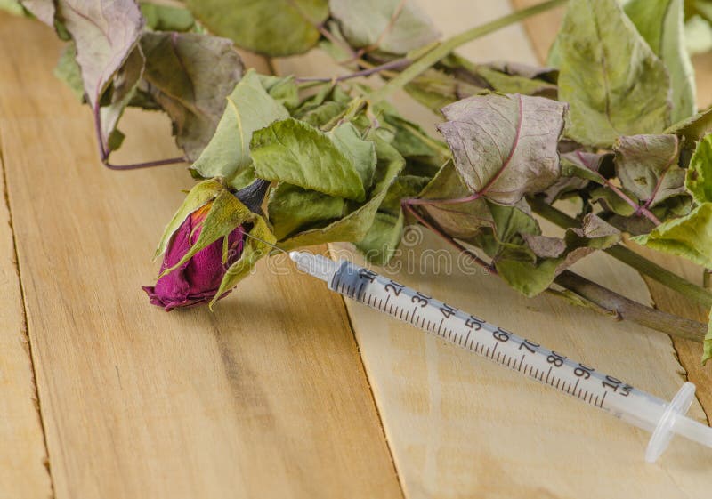 Dried rose and syringe stock photo. Image of hospital - 71906256