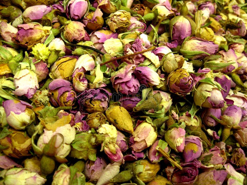 Dried rosebuds stock image. Image of harvest, aesthetics - 14336337