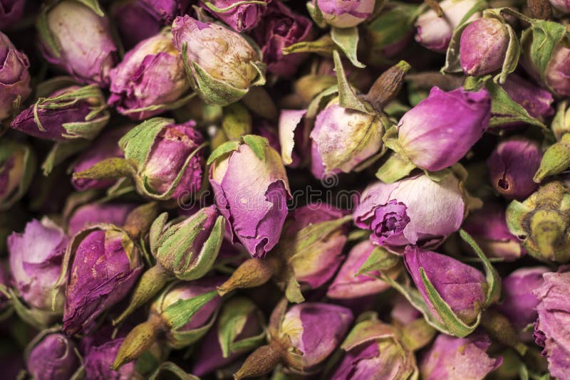 Dried Rosebuds Background Texture Macro Close Up Heap Stock Image ...