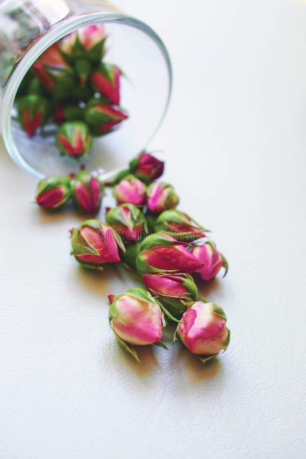 Dried Rosebuds on White Background Stock Image - Image of delicate ...