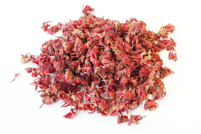 Dried Roselle Fruits (Hibiscus Sabdariffa L.) Stock Image - Image of ...
