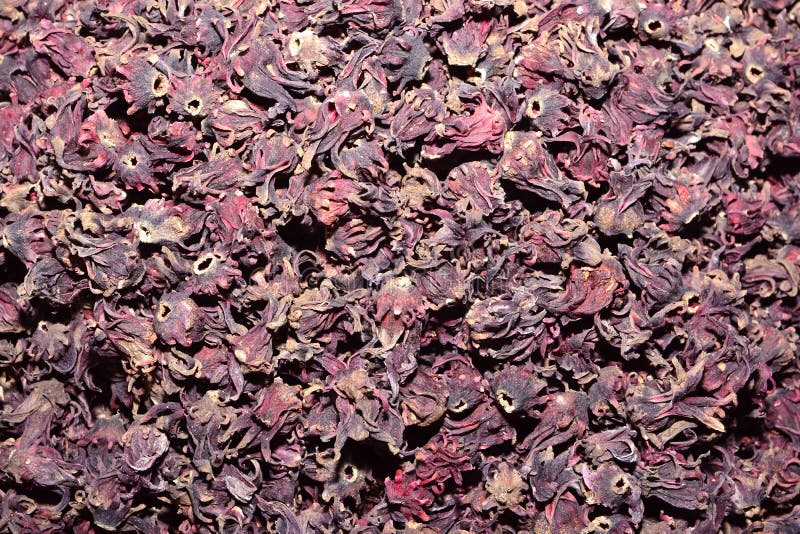 Flowers Roselle Texture Dry Stock Photos - Free & Royalty-Free Stock ...