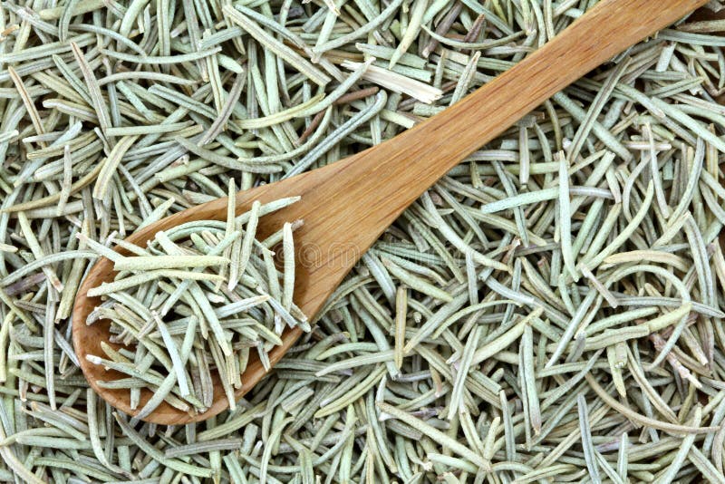 Dried Rosemary stock image. Image of flavoring, closeup - 36899123